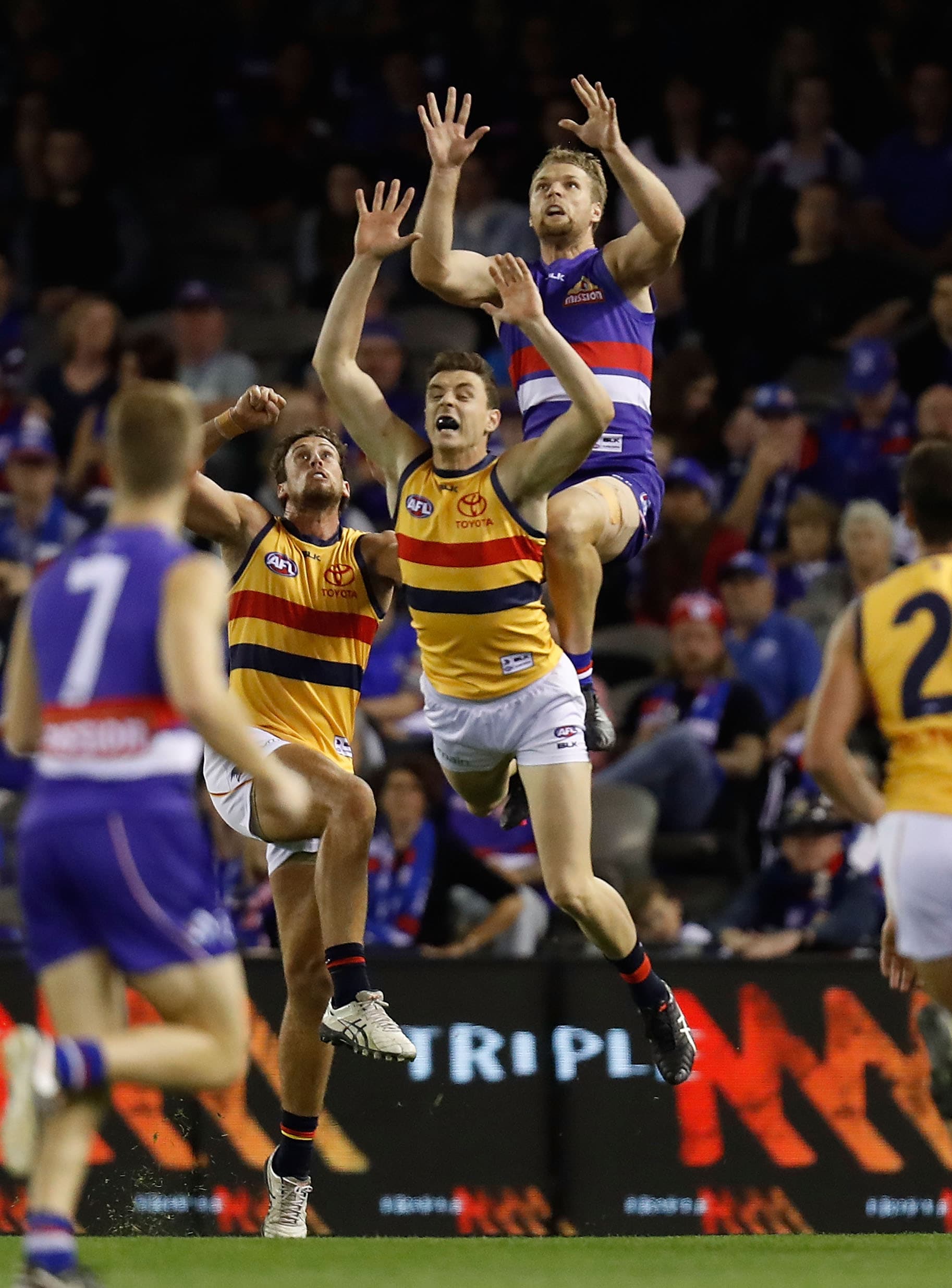 Weekend rewind: Western Bulldogs v Adelaide Crows