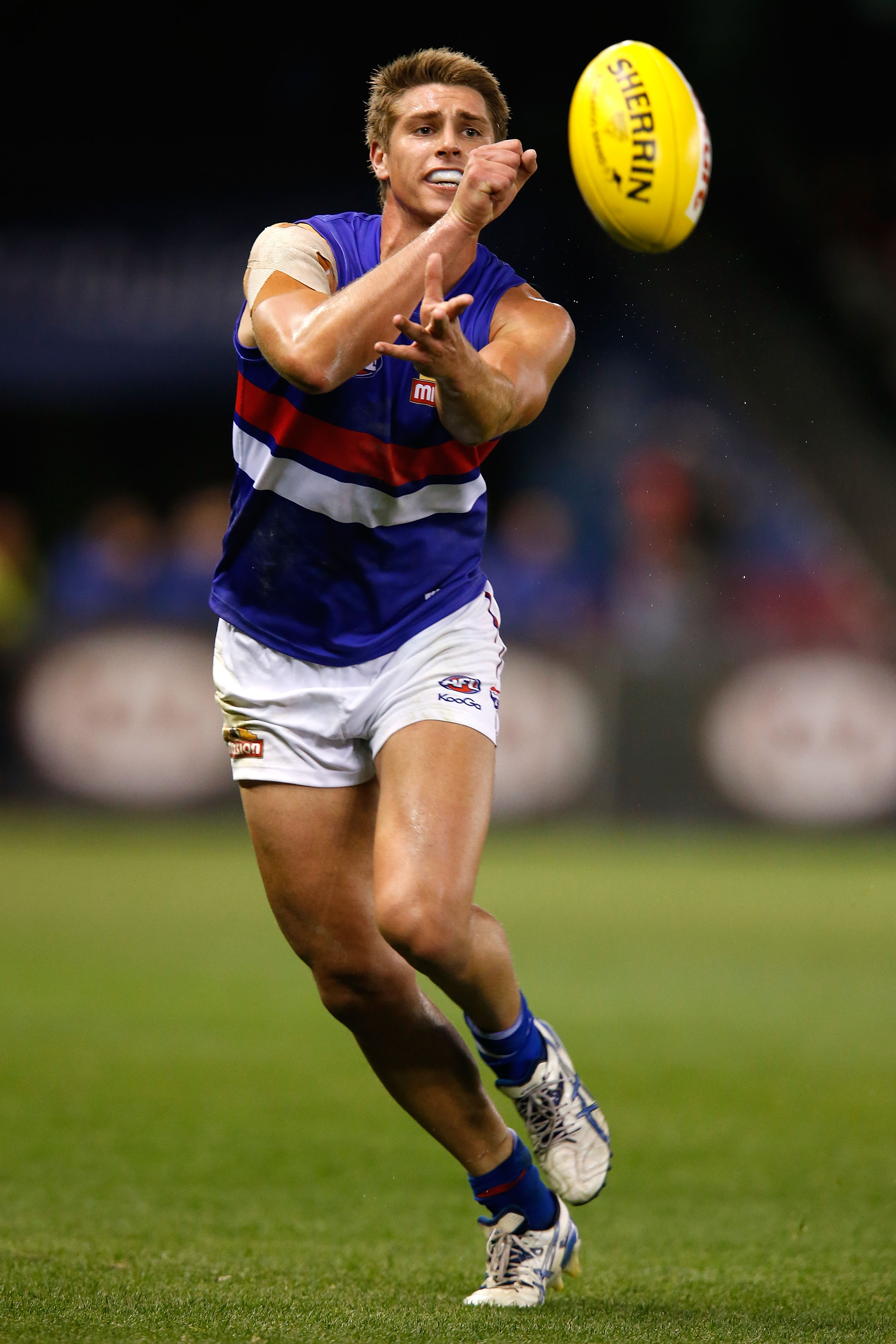 Focus on' 14: Michael Talia Season Review