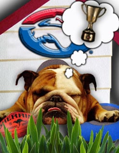 In the Kennel: Jason Akermanis