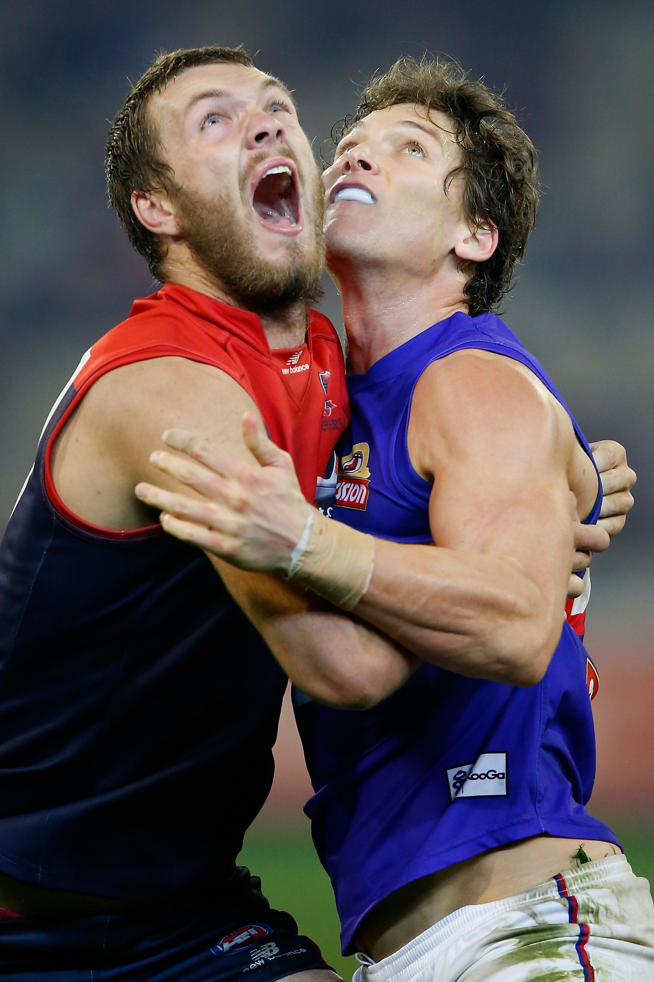 Opp Analysis: Dogs primed for season finale