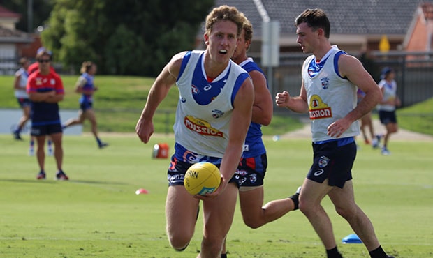 'He's a competitive bugger': New Dog impresses