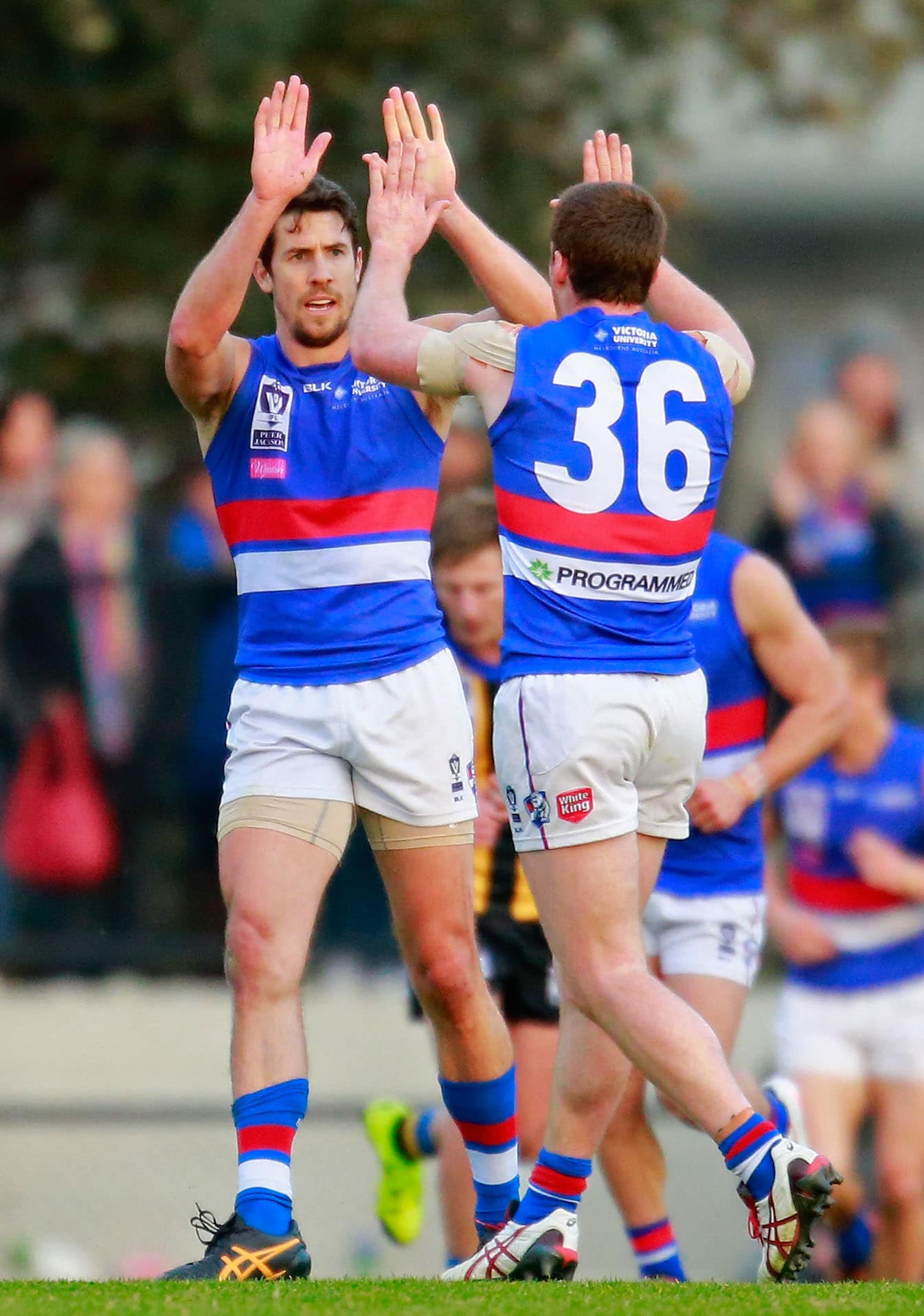 VFL match information