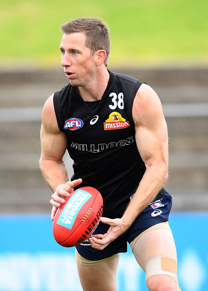 Moz return to boost Dogs