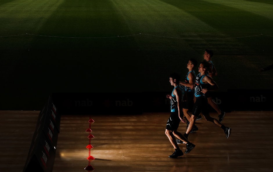 Going to the Dogs: Draft experts weigh in