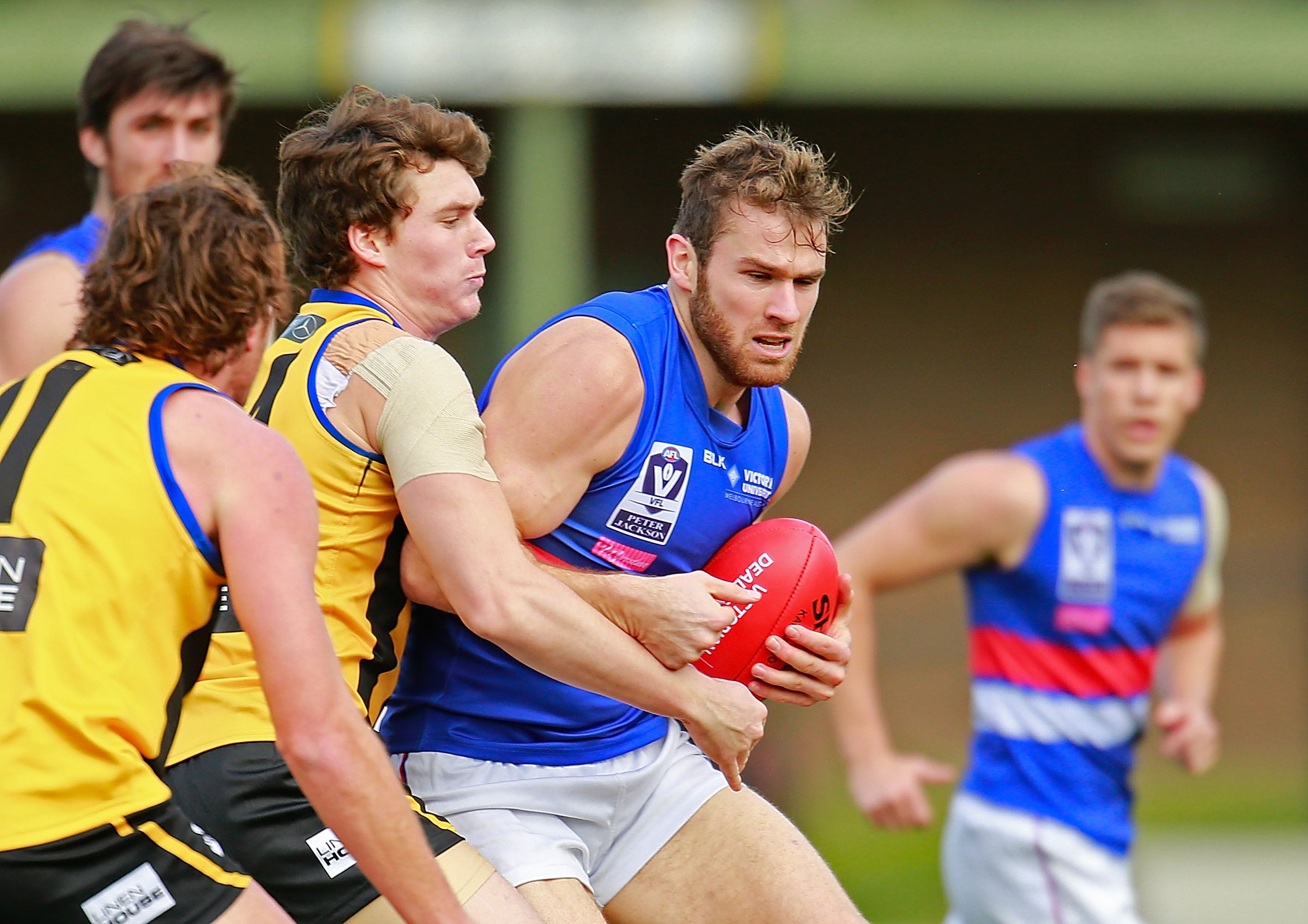VFL Teams: Footscray Bulldogs v Northern Blues