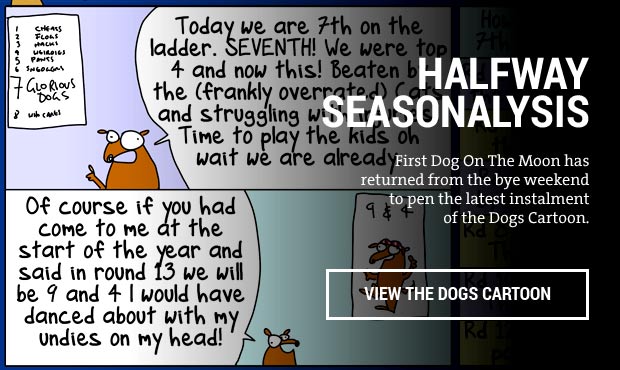 Dogs Cartoon: Halfway Seasonalysis