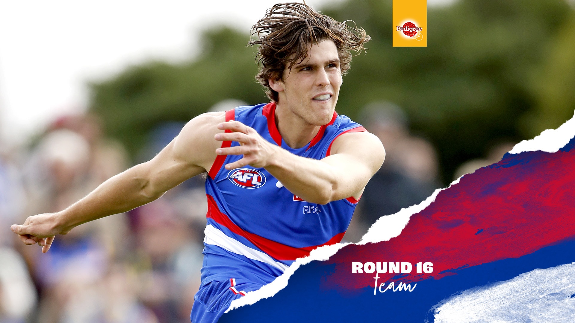 AFL Team | Round 16