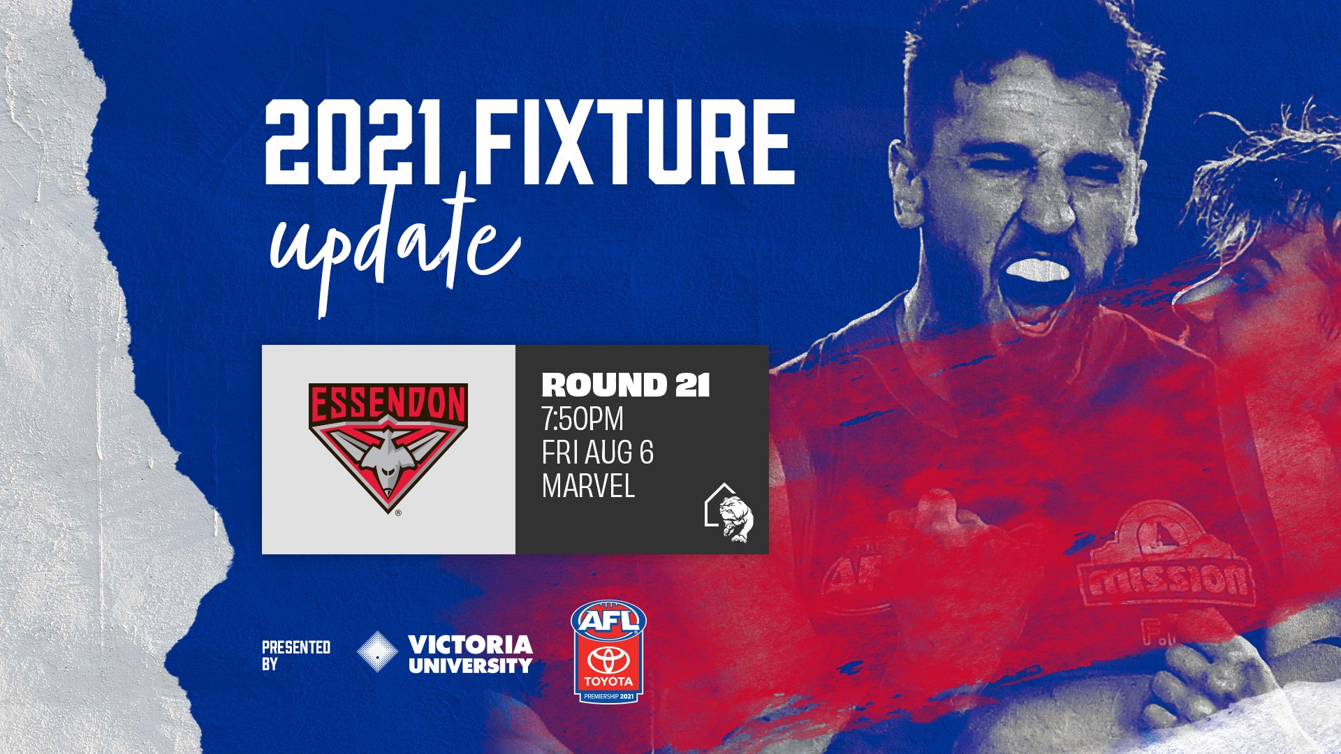 Dogs-Dons in prime time