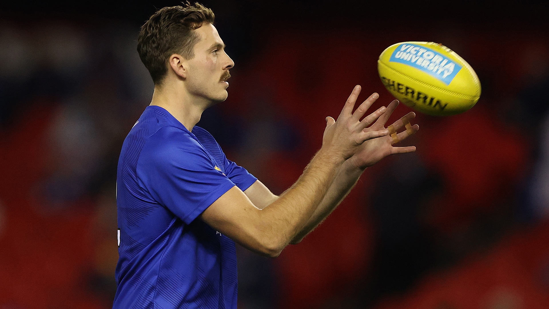 Cordy celebrates 100 games