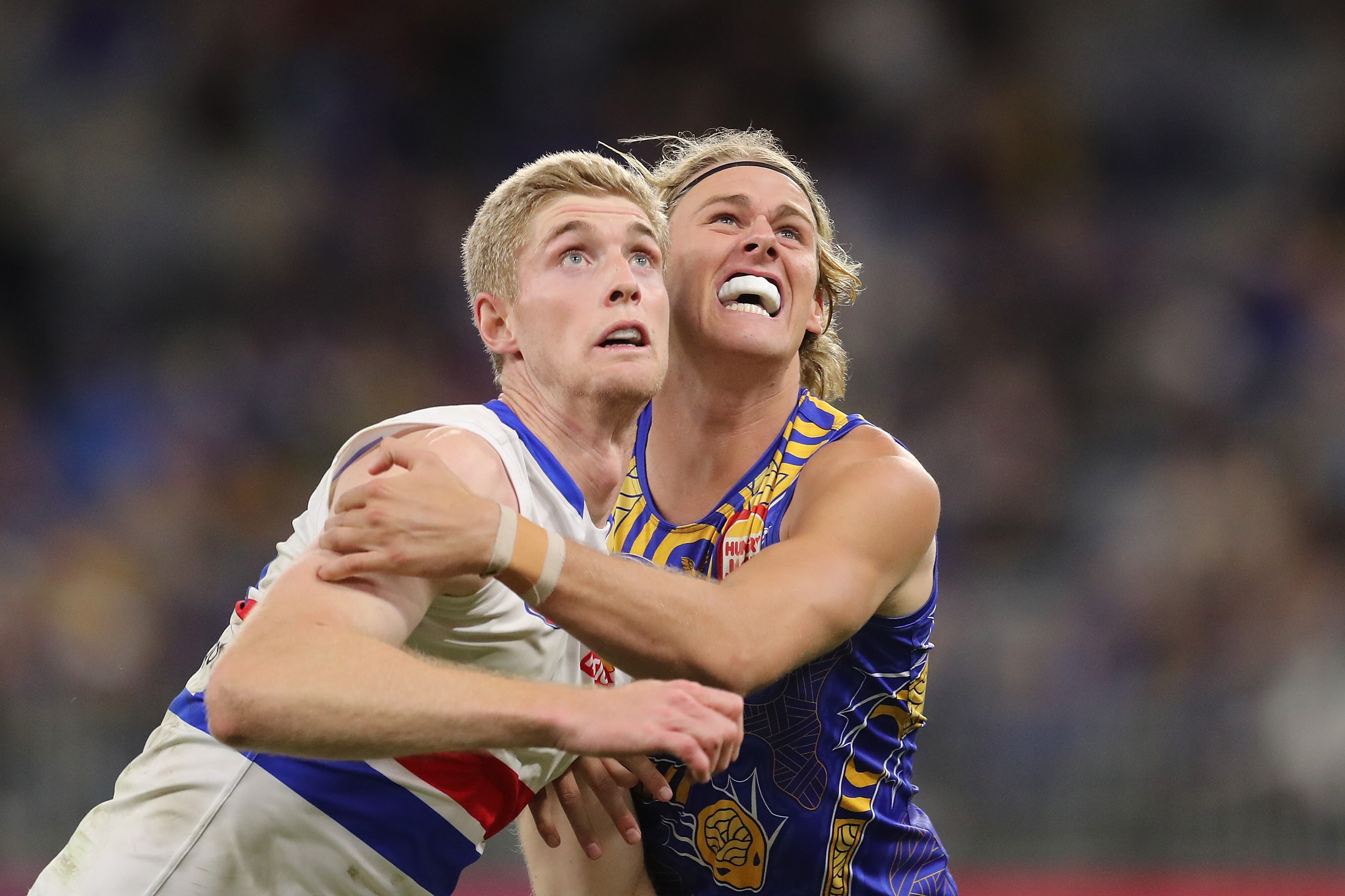All praise for Dogs’ returning ruckman
