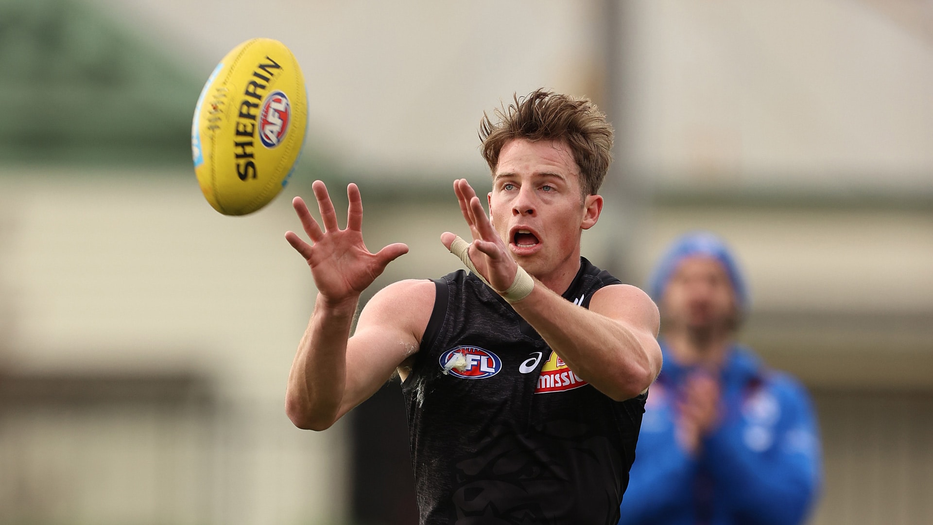 VFL Team | Round 15