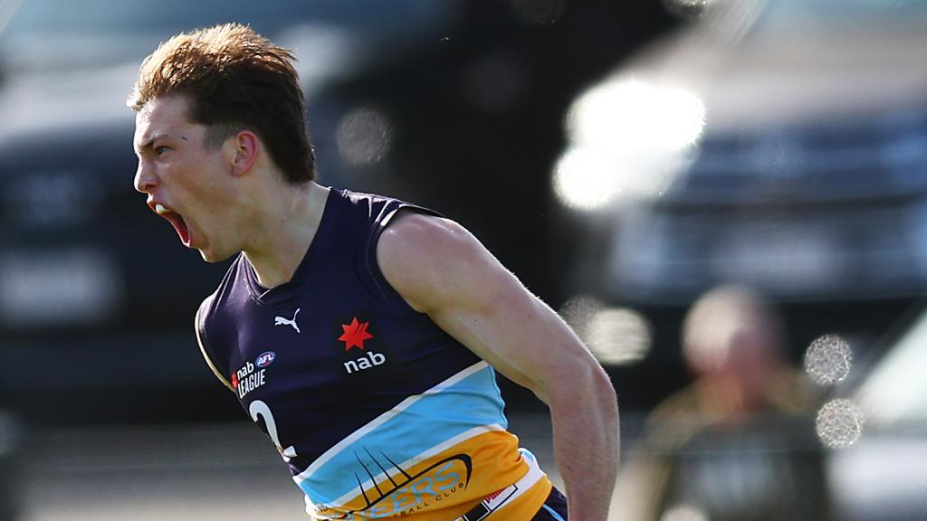 Recapping the Dogs’ draft haul
