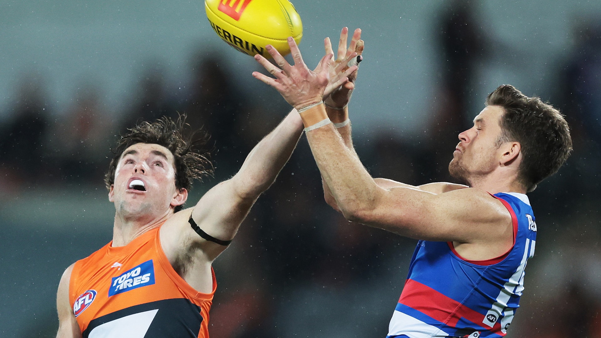 Bevo expecting Giant battle in Ballarat