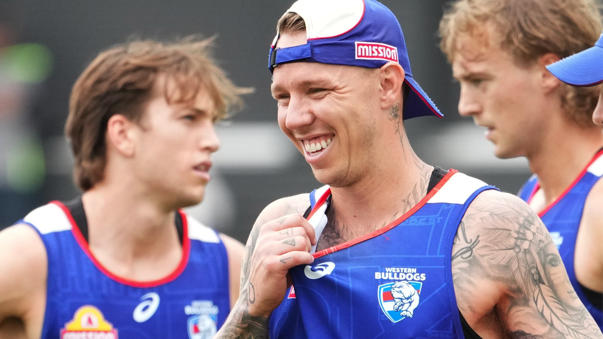 Harmes on fresh start, why Dogs move was a surprise