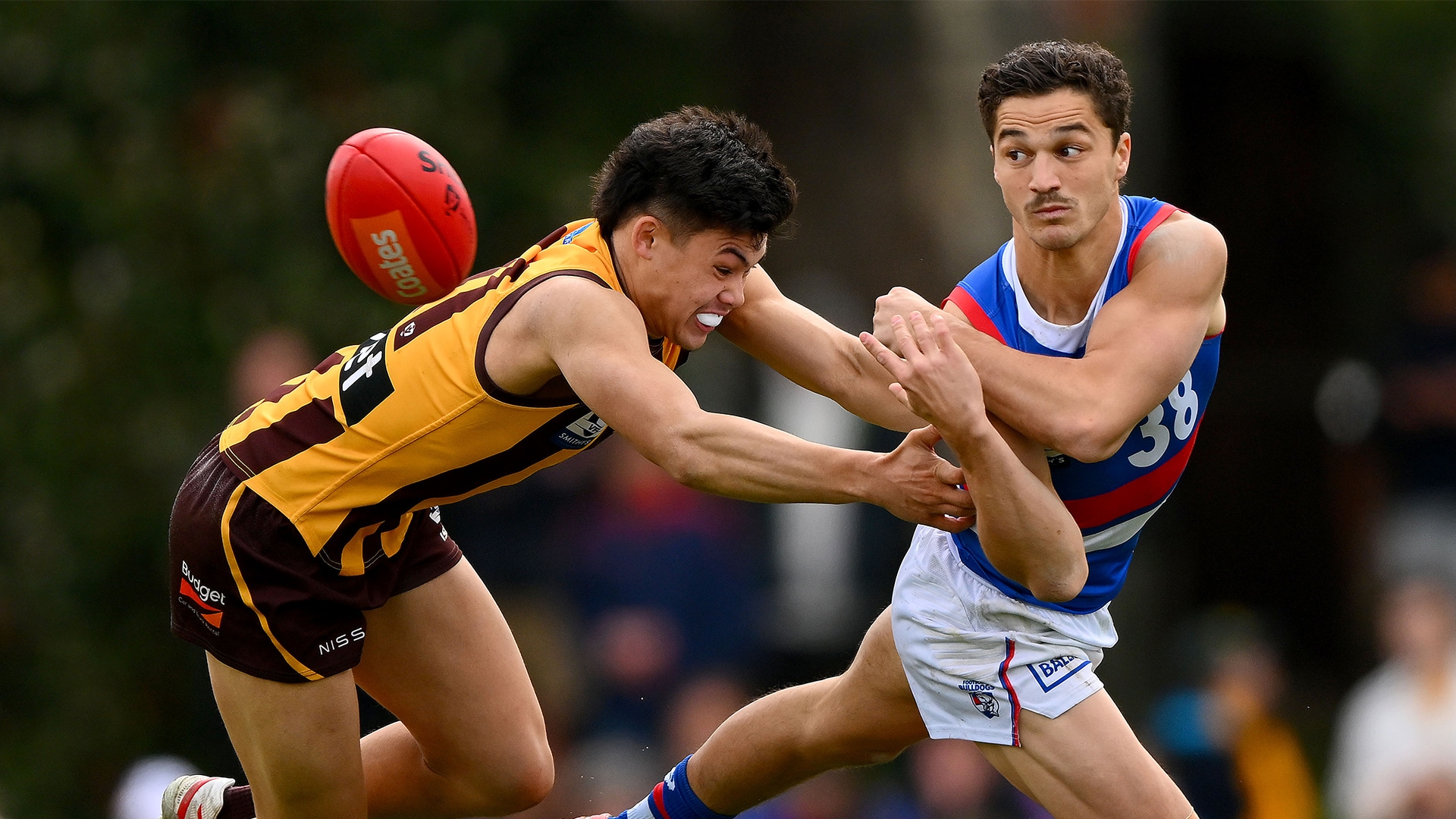 Footscray fixture breakdown: 2024 season
