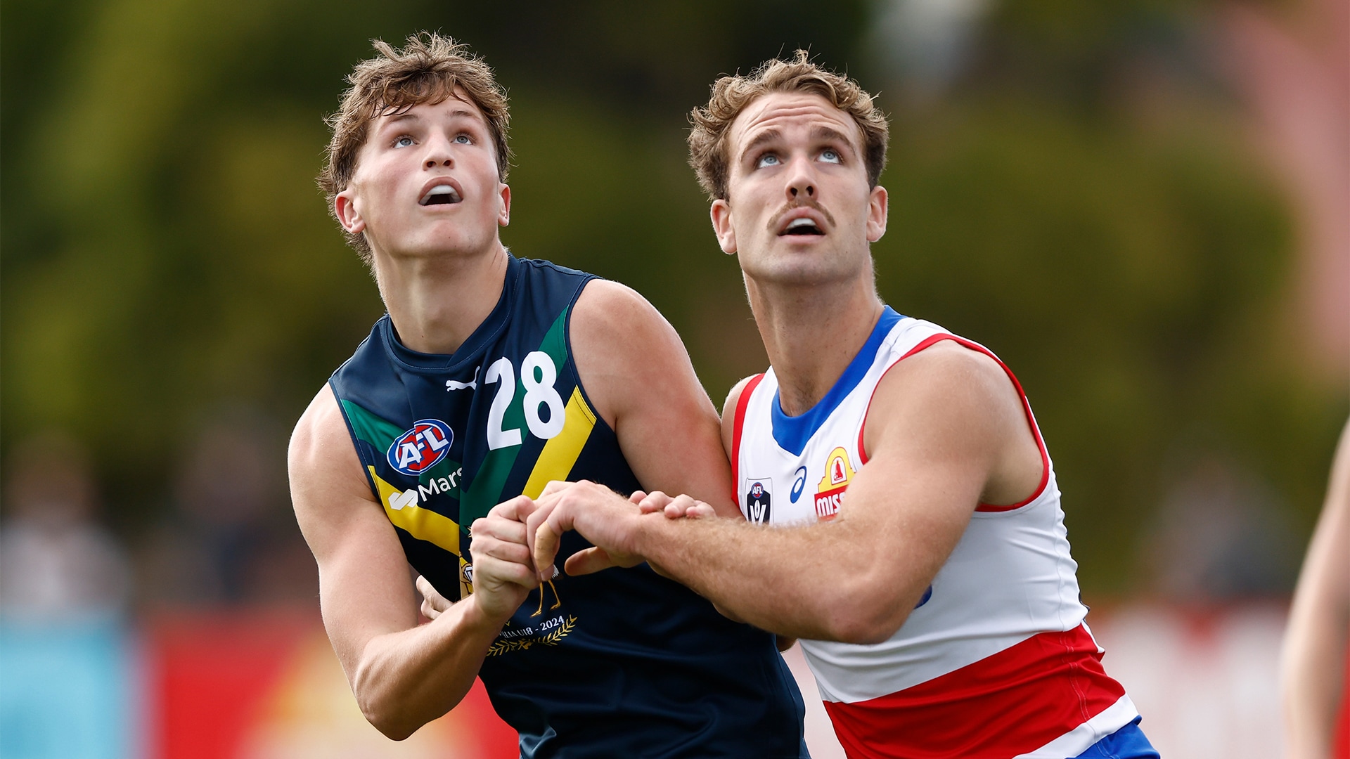 VFL by the numbers: Standouts from Exhibition Match