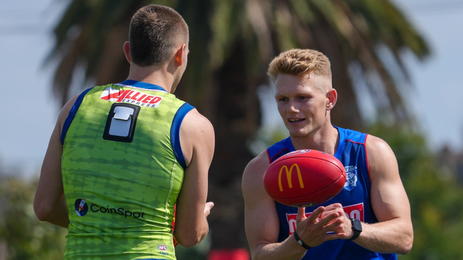 Pre-season training at Mission Whitten Oval