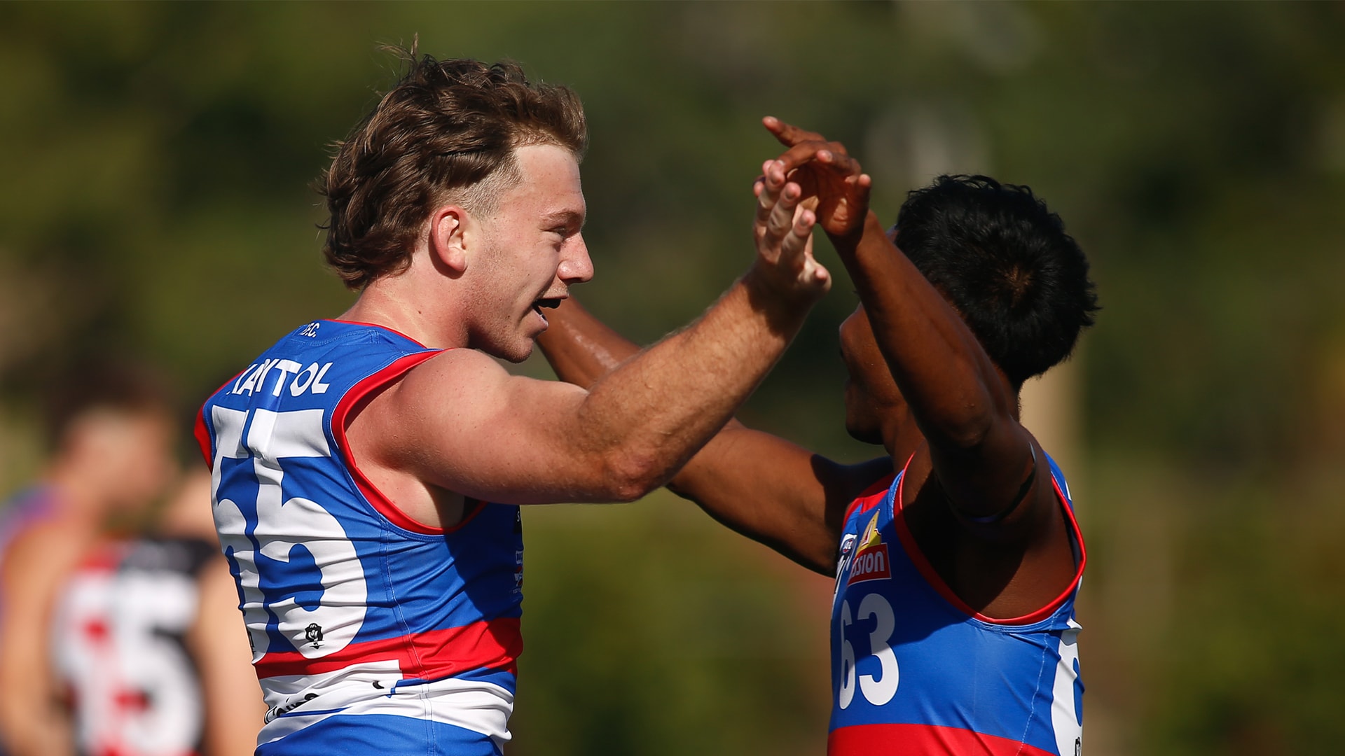 VFL Team: Practice match v Box Hill