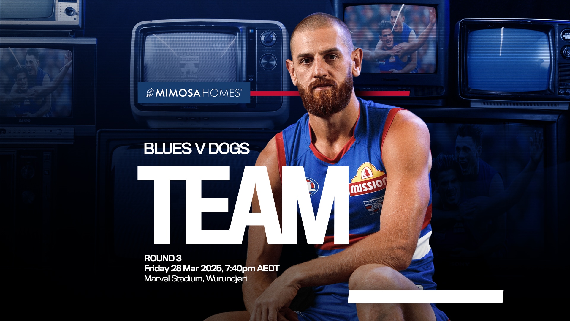 AFL Team: Round 3 v Carlton