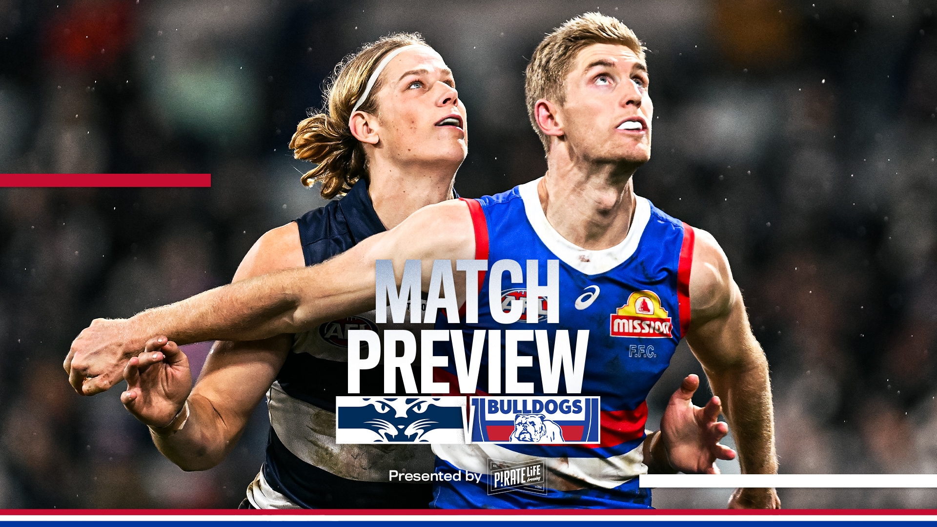 AFL Match preview: Dogs v Cats