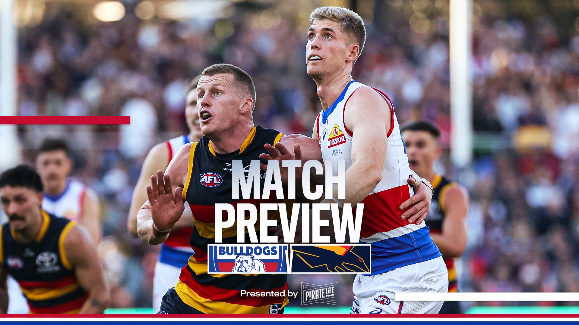 AFL Match preview: Dogs v Crows