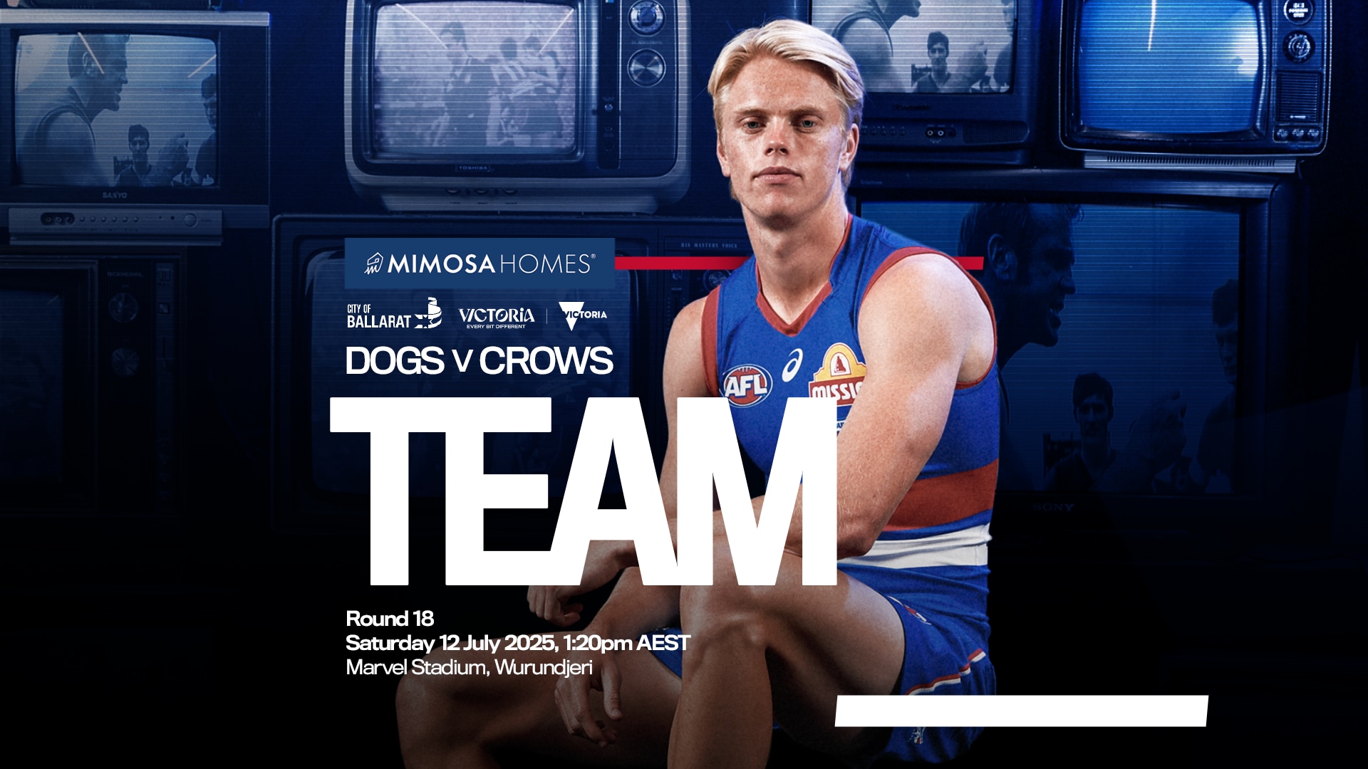 AFL Team: Round 18 v Adelaide Crows