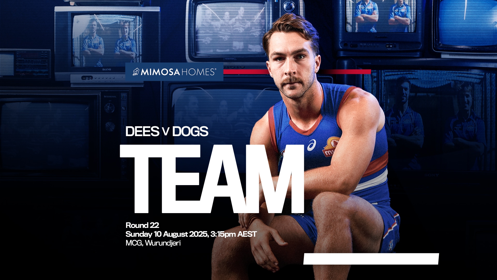 AFL Team: Round 22 v Melbourne