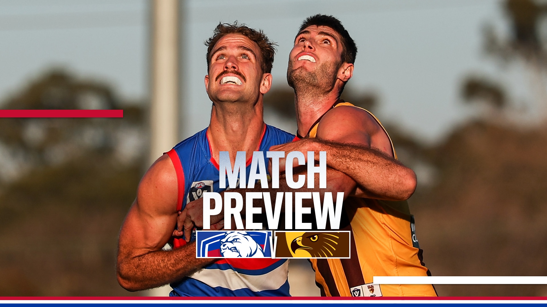 VFL Match preview: Preliminary Final