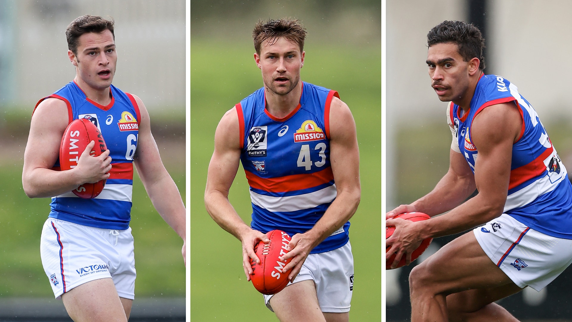 Dogs’ trio named in VFL TOTY squad