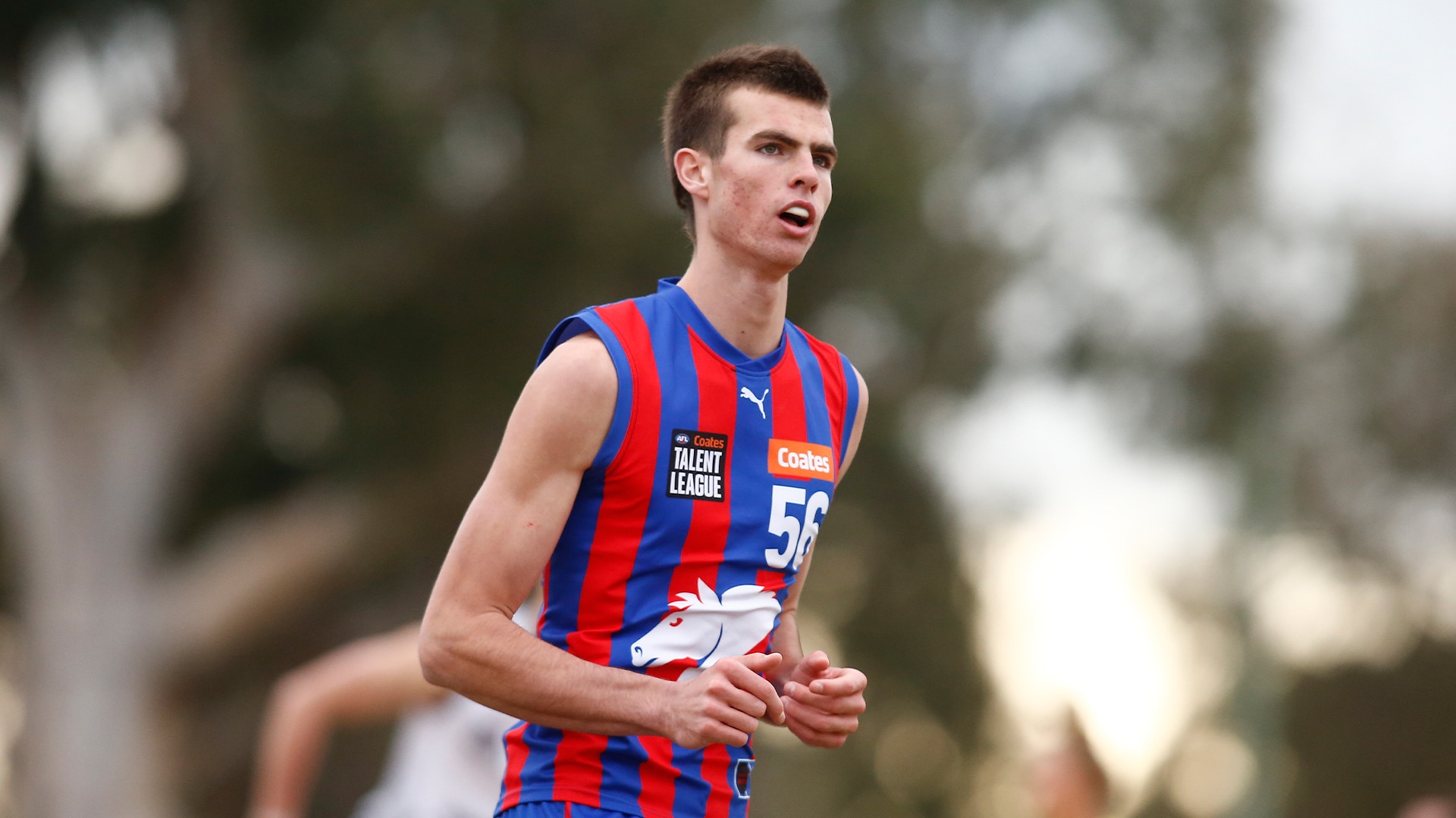 Bulldogs list boss talks trade period, Will Darcy