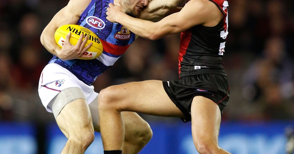 Match information - Bulldogs v Essendon