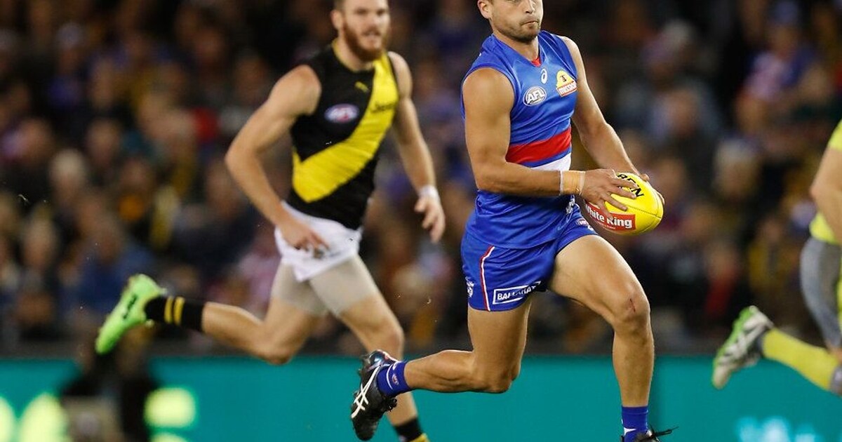 Pair of Dogs in AFL Team of the Week