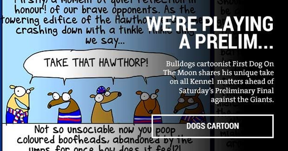 Dogs Cartoon: Preliminary Finals Edition