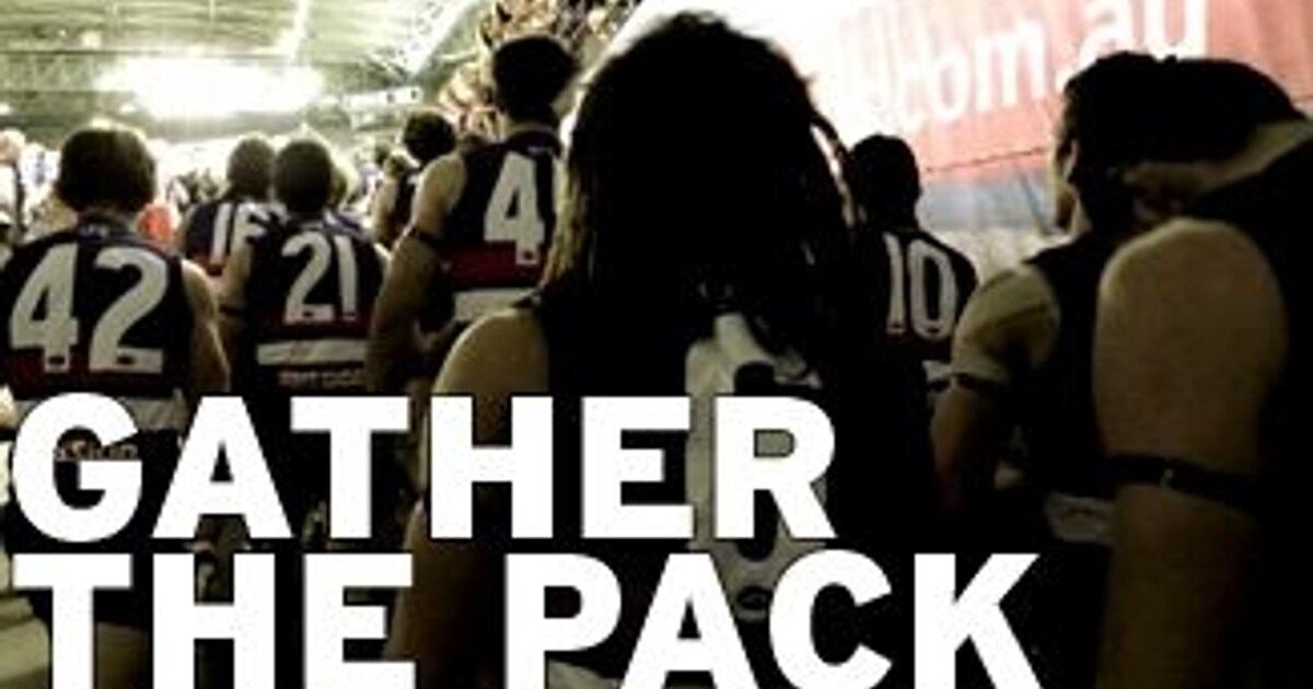 It's time to Gather the Pack