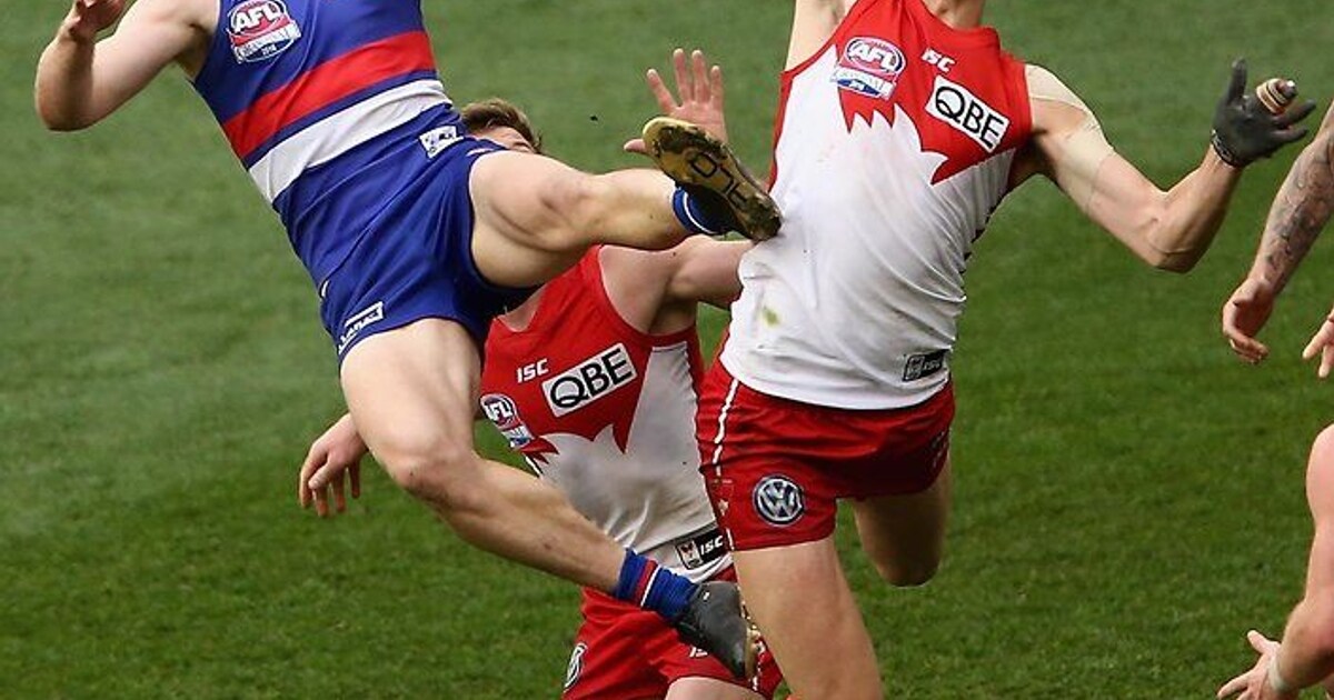 Stringer makes Champion Data top ten