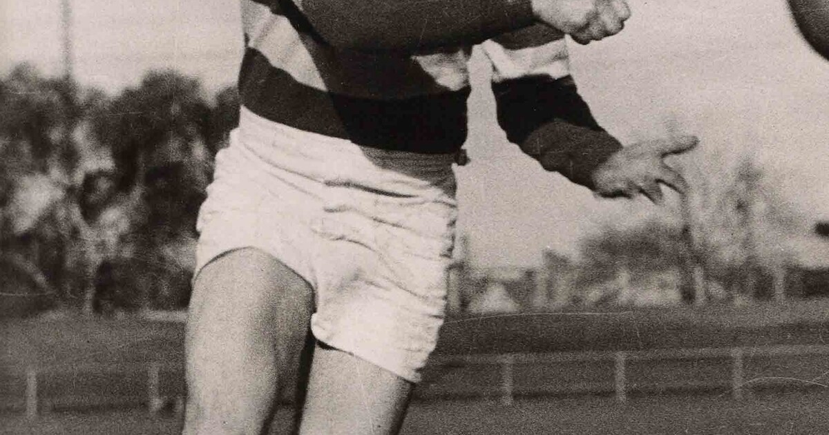 Hall of Fame: Don Ross