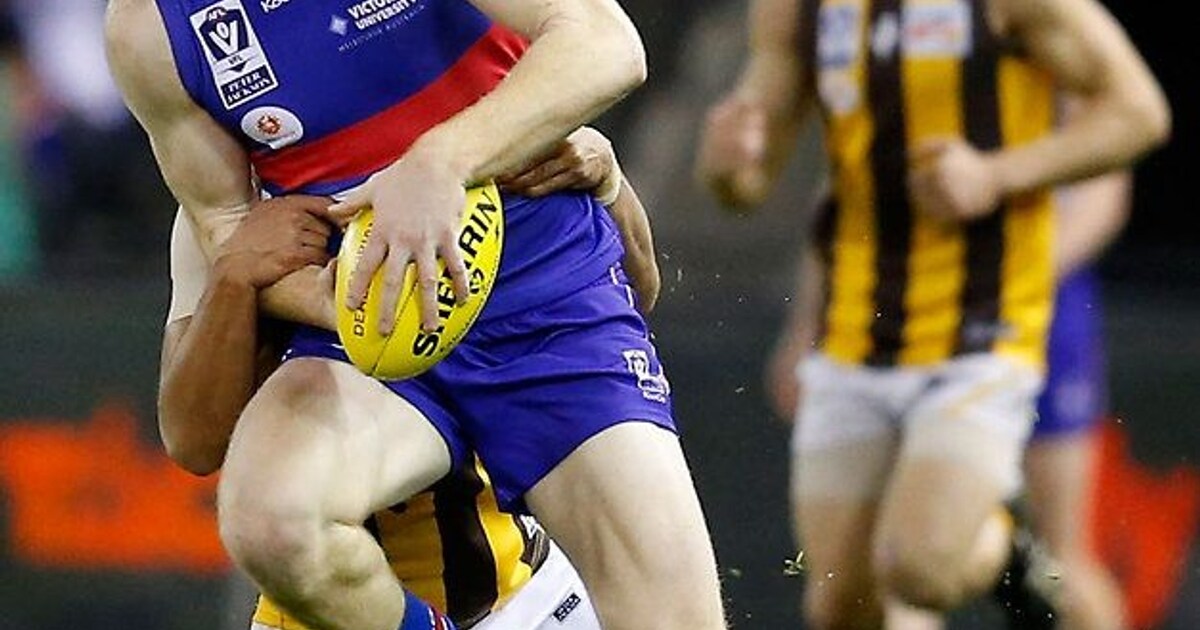 Young returns as ‘Scray reload for ‘17