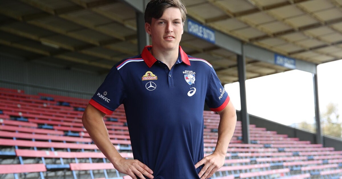 One more year for Vandermeer