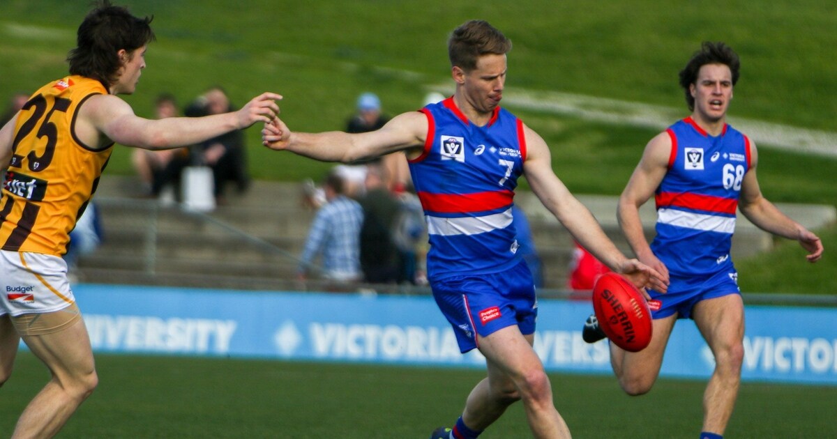 VFL player summary: Round 14