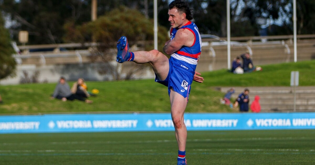 VFL player summary: Round 15