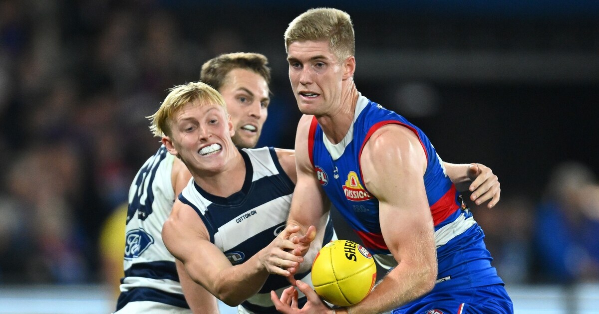 English, Daniel earn praise from coaches