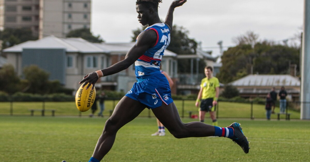 VFL player summary: Round 15