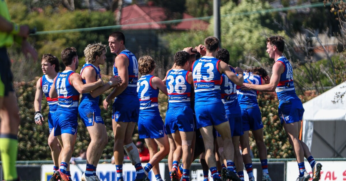 Bulldogs, Hawks to meet in VFL Semi Final