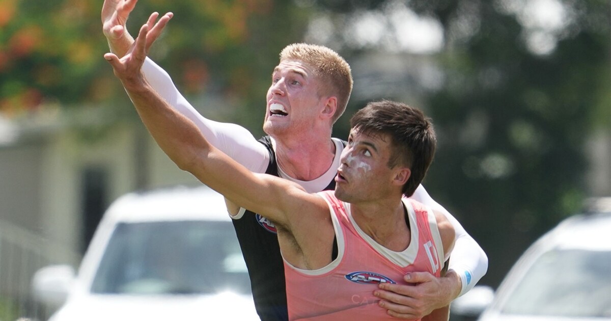 Dogs ruckman back in full training as draftee, recruit shine