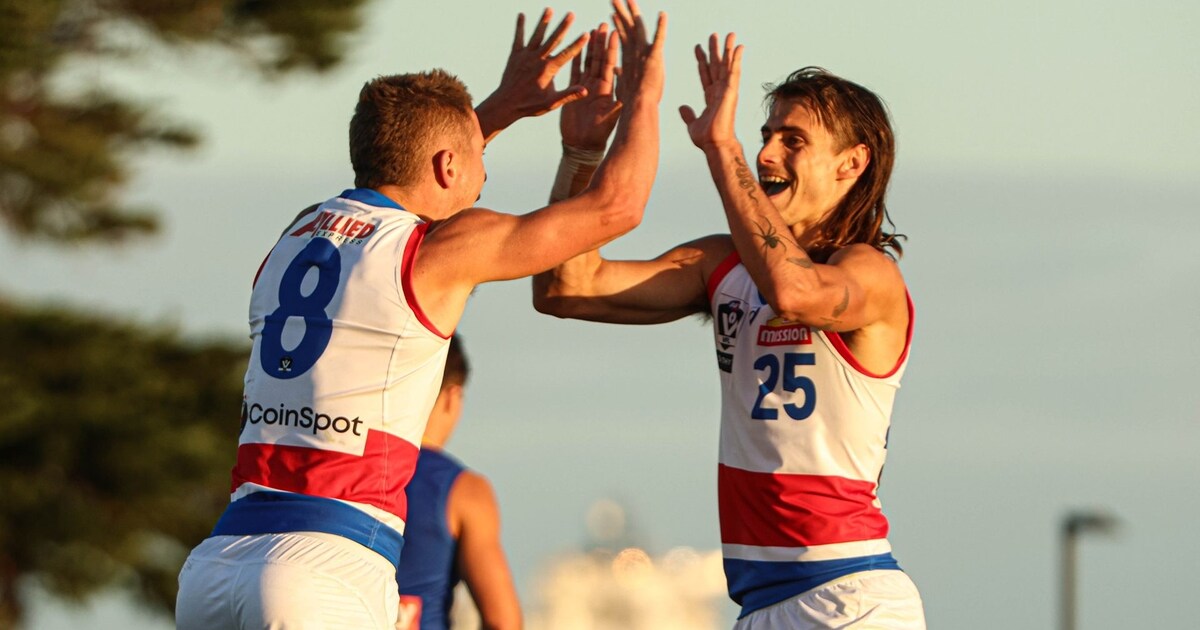VFL player summary: Round 4 v Williamstown