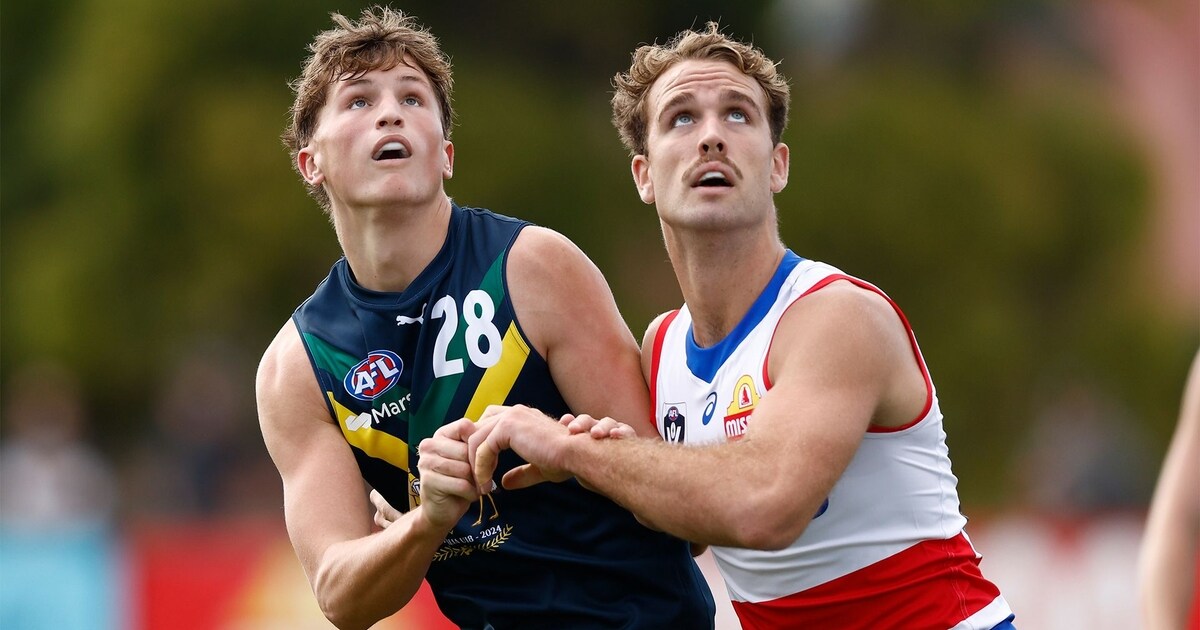 VFL by the numbers: Standouts from Exhibition Match