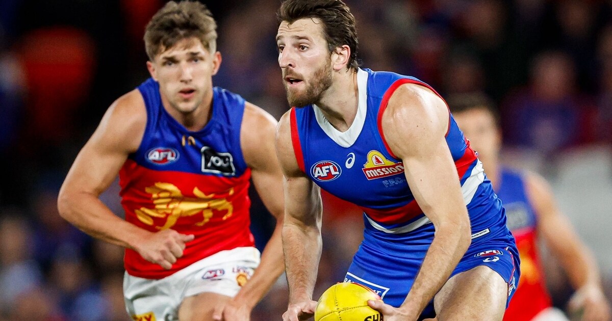 AFL Report | Dogs go down to Lions