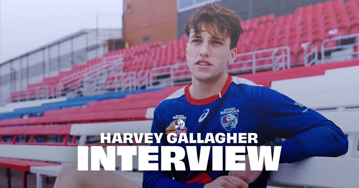 Bulldogs Media | Western Bulldogs