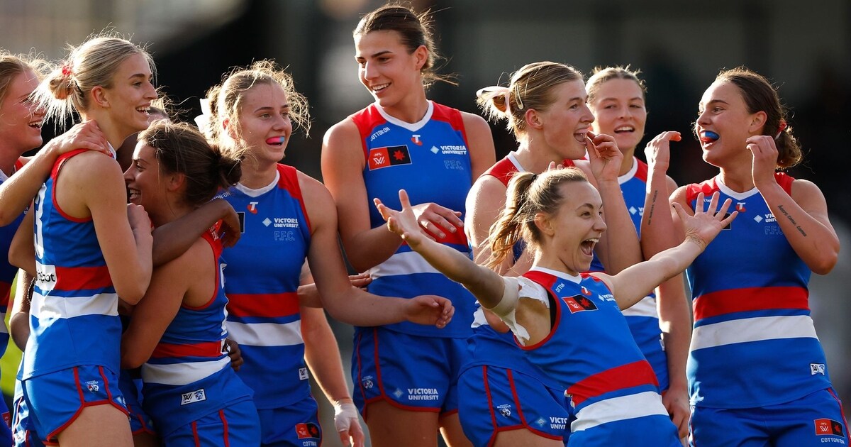 Bark, bite and balance: Behind the scenes at the Kennel